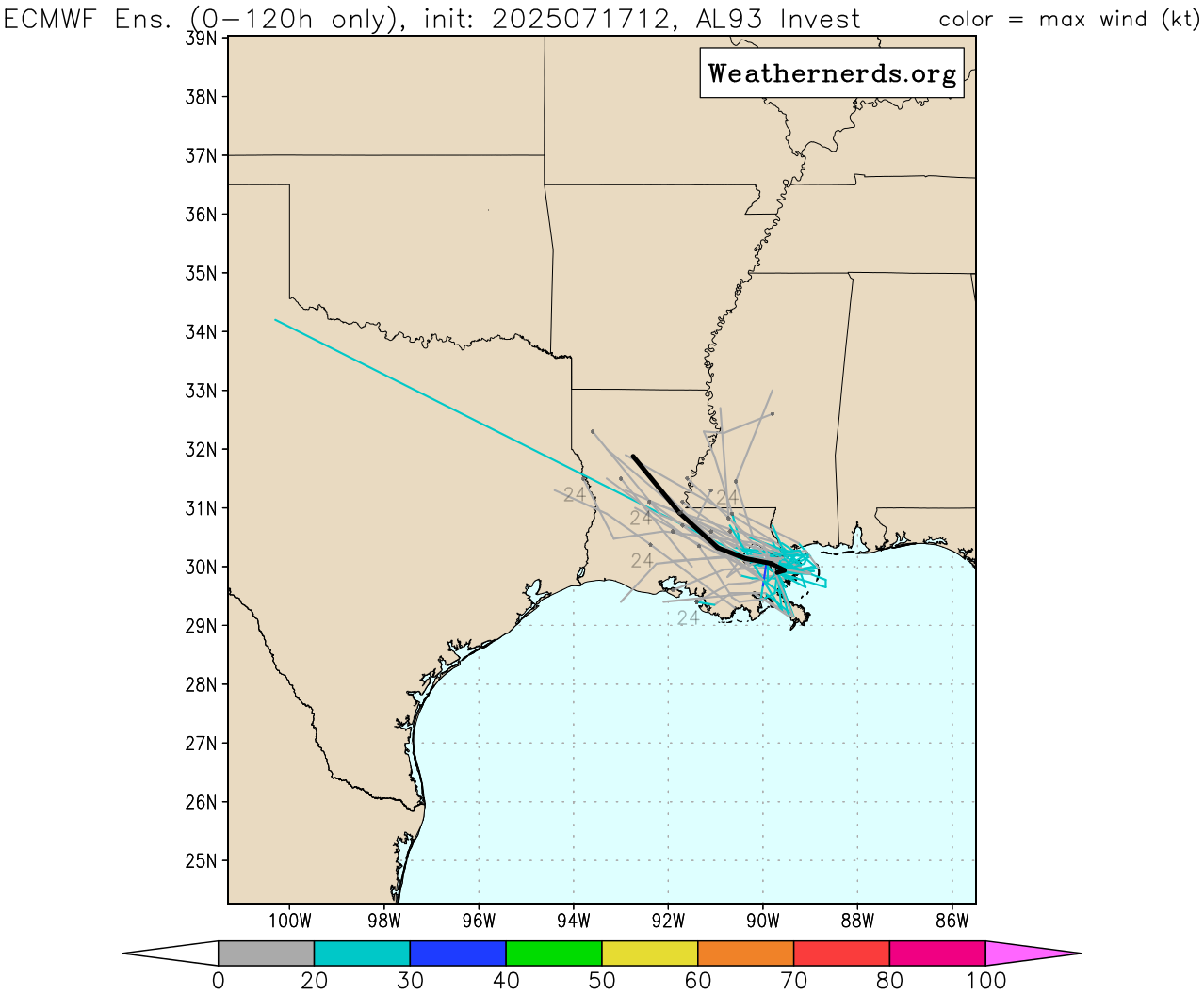 Weathernerds TC Guidance