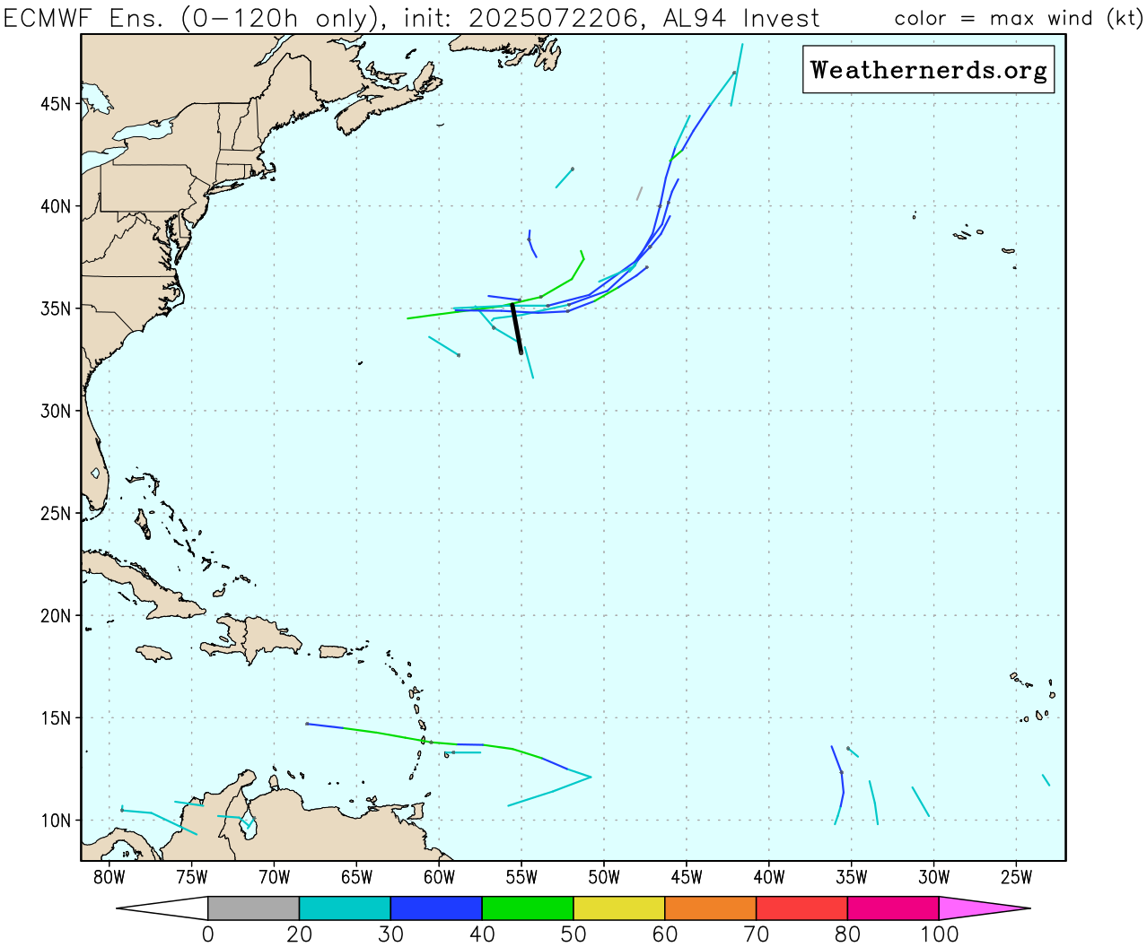 Weathernerds TC Guidance