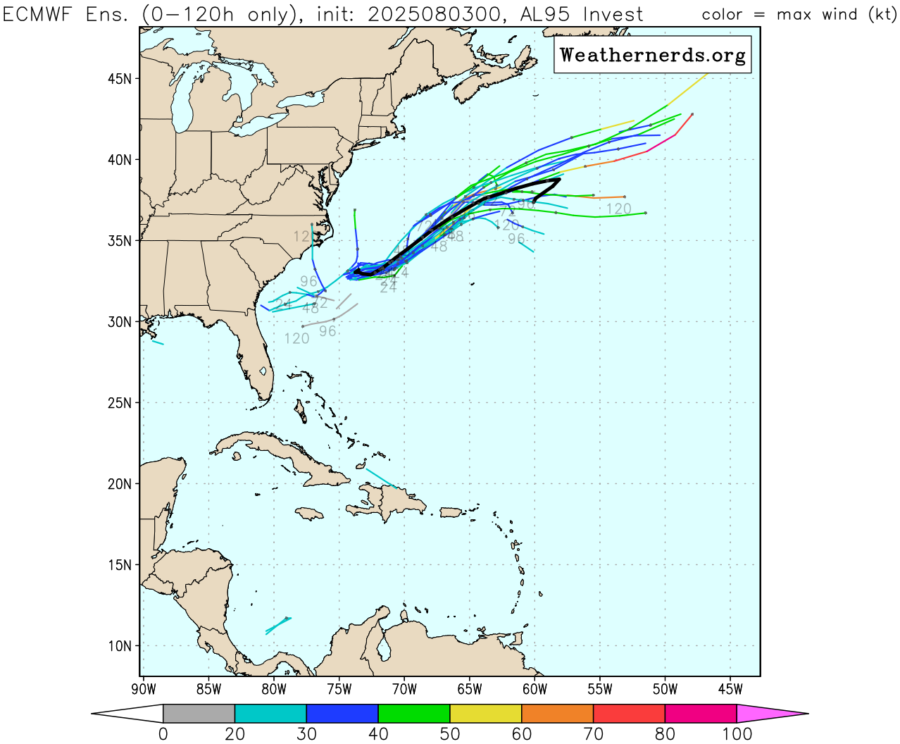 Weathernerds TC Guidance